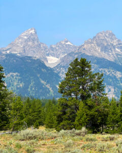 A First-Timer’s Guide to Grand Teton National Park - Sunshine Whispers