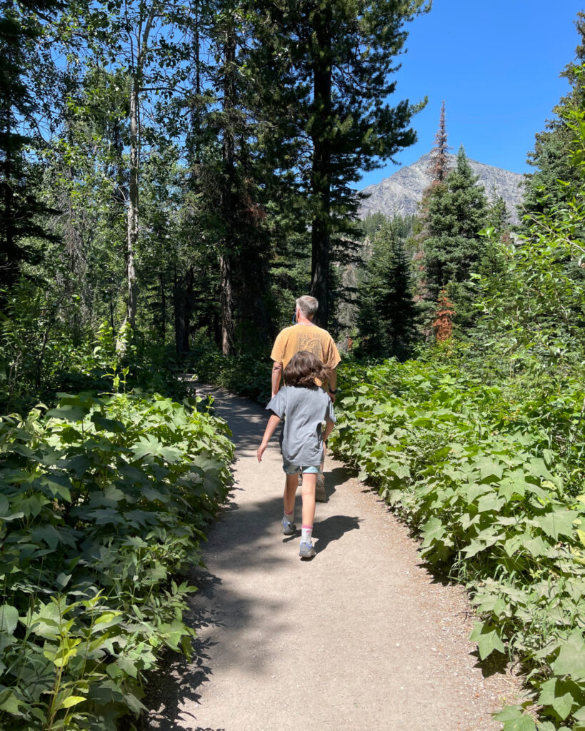 Two Medicine Area Guide: Best Hikes, Boat Tours & Scenic Spots ...