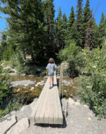Two Medicine Area Guide: Best Hikes, Boat Tours & Scenic Spots ...