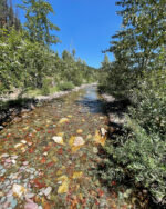 Two Medicine Area Guide: Best Hikes, Boat Tours & Scenic Spots ...