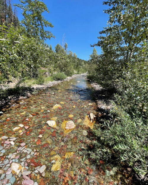 Two Medicine Area Guide: Best Hikes, Boat Tours & Scenic Spots ...