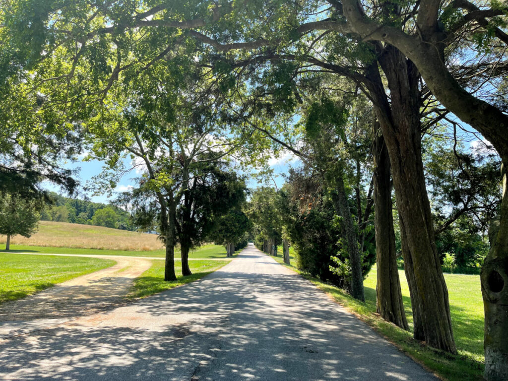 Jefferson Patterson Park and Museum Guide: Trails, Indian Village ...