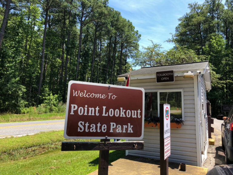 Point Lookout State Park Guide: Beaches, Swimming, Jellyfish & What to ...