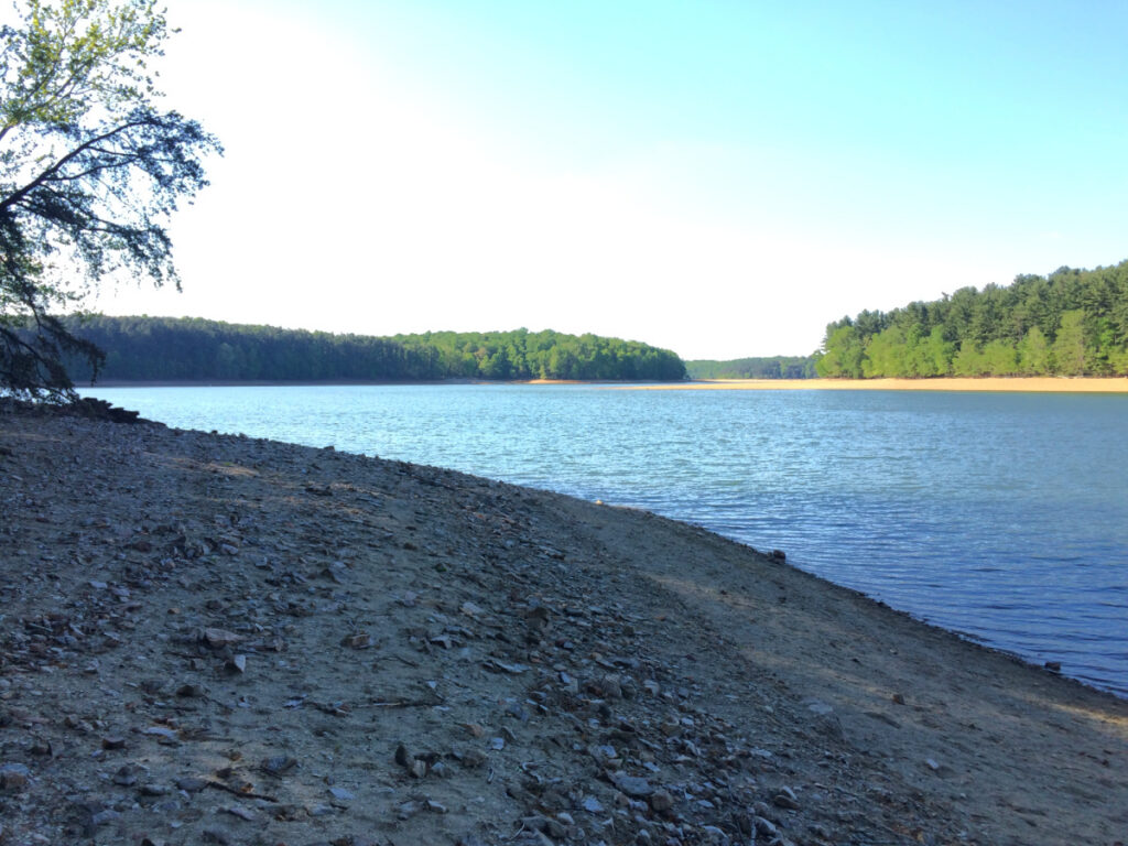 Brighton Dam Azalea Garden in Maryland: When to Go, What to Know & Why ...