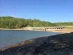 Brighton Dam Azalea Garden in Maryland: When to Go, What to Know & Why ...