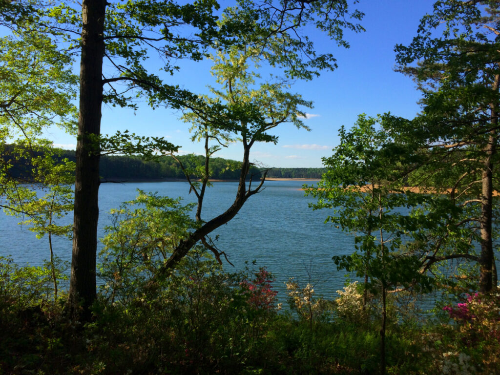 Brighton Dam Azalea Garden in Maryland: When to Go, What to Know & Why ...