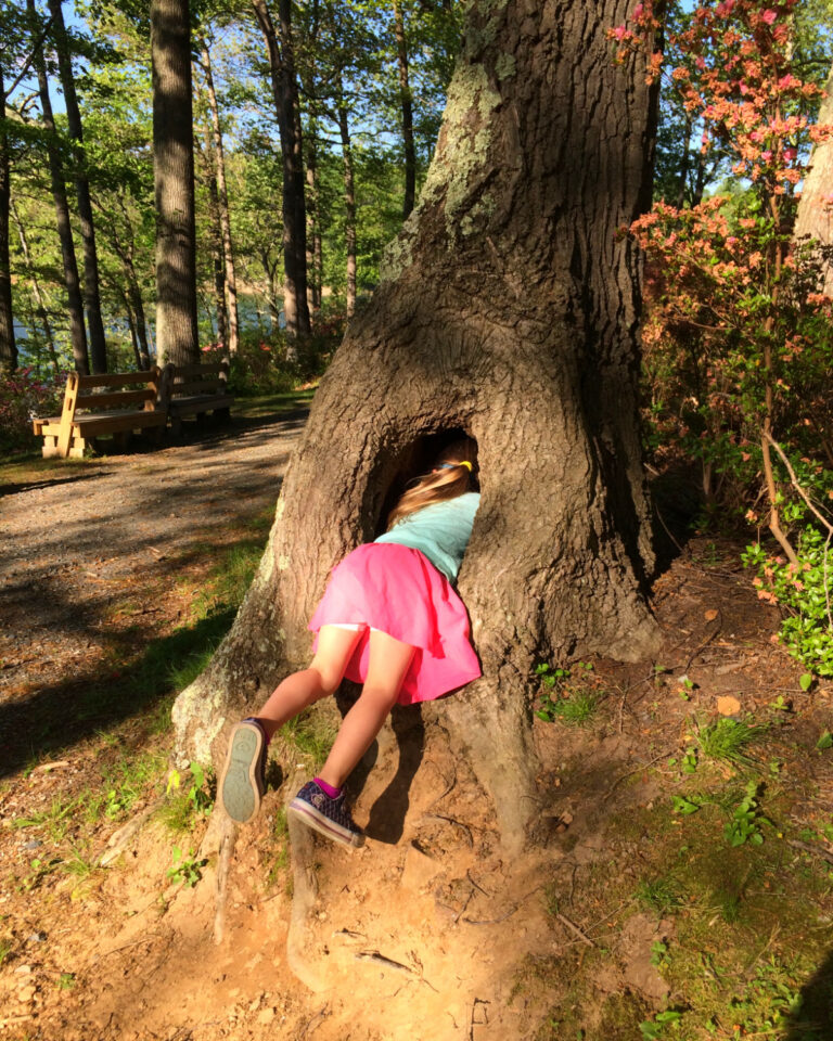 Brighton Dam Azalea Garden in Maryland: When to Go, What to Know & Why ...