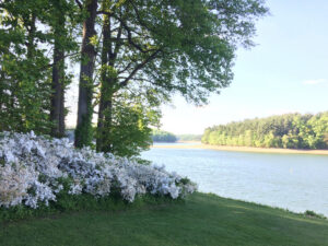 Brighton Dam Azalea Garden in Maryland: When to Go, What to Know & Why ...
