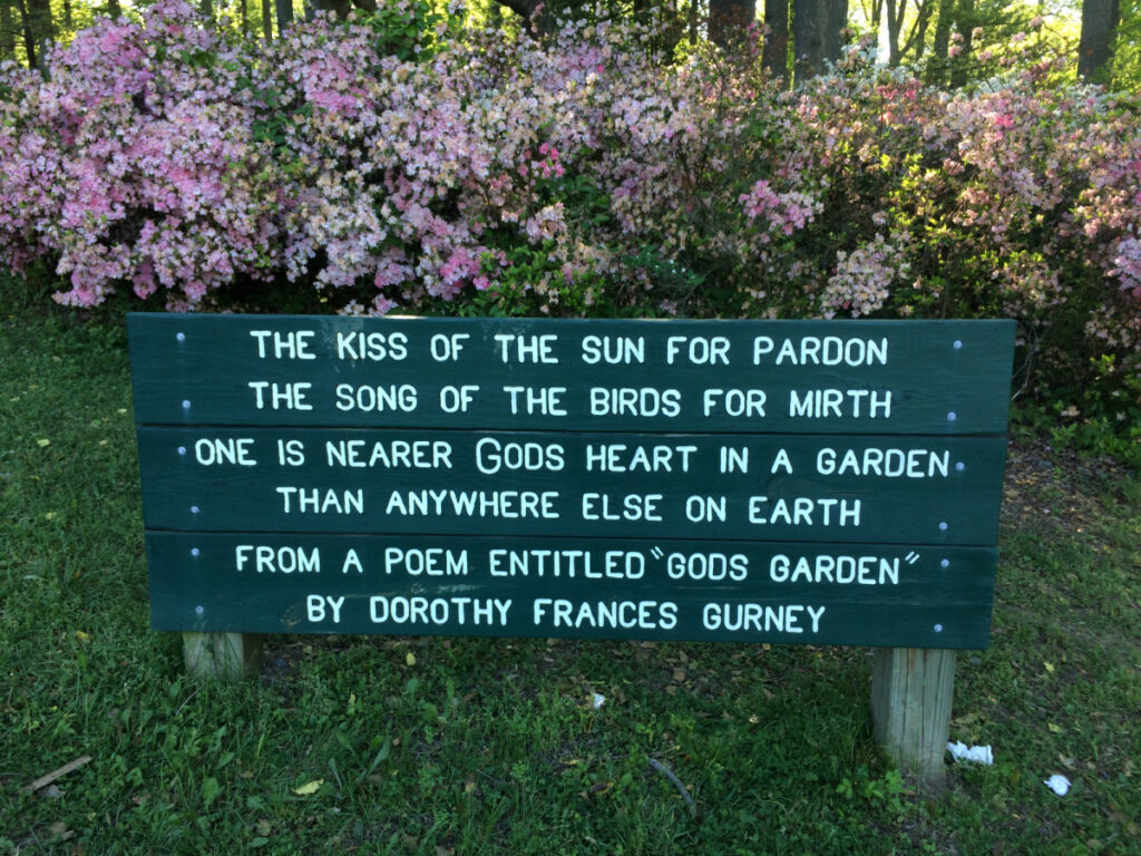 Brighton Dam Azalea Garden in Maryland: When to Go, What to Know & Why ...