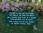 Brighton Dam Azalea Garden in Maryland: When to Go, What to Know & Why ...