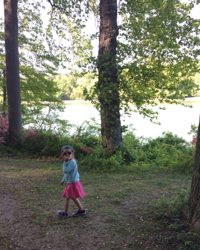 Brighton Dam Azalea Garden in Maryland: When to Go, What to Know & Why ...