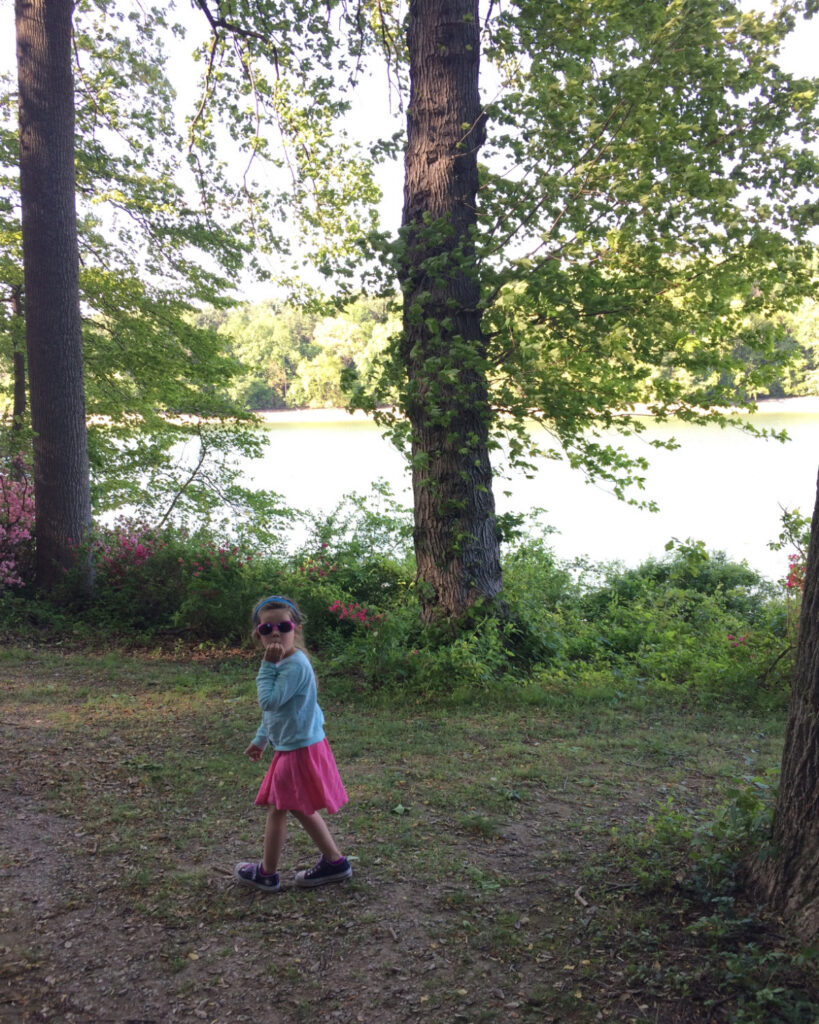 Brighton Dam Azalea Garden in Maryland: When to Go, What to Know & Why ...