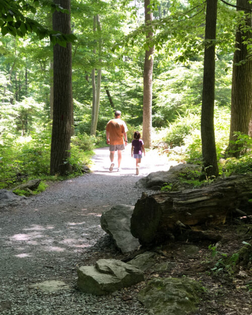 Cunningham Falls State Park Guide (Waterfall Hike + Beach + Family Tips ...