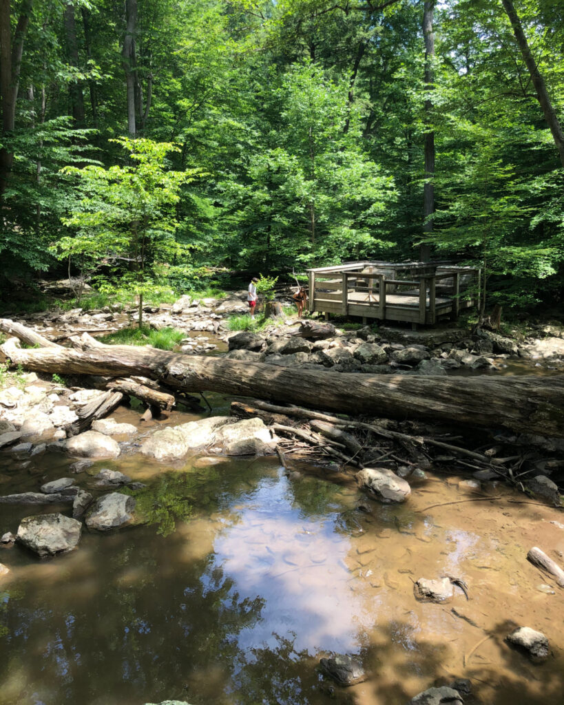 Cunningham Falls State Park Guide (Waterfall Hike + Beach + Family Tips ...