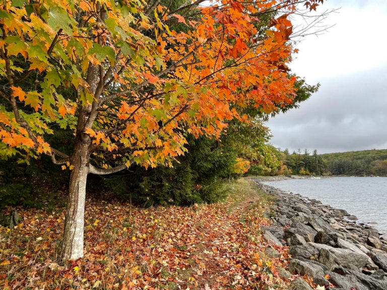 Best Things to Do in Deep Creek Lake (Local Guide + Hidden Gems ...