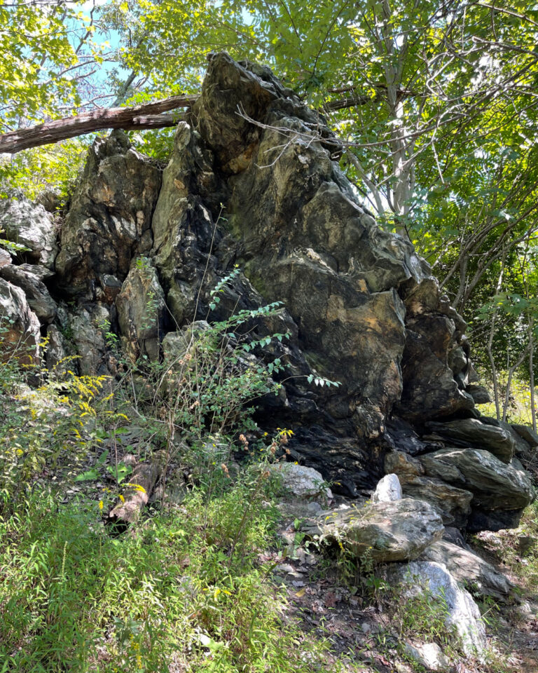 Gambrill State Park Guide: Overlooks, Trails, Picnic Spots & Family ...