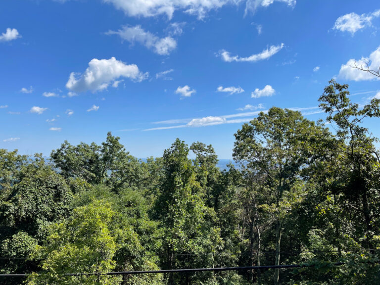 Gambrill State Park Guide: Overlooks, Trails, Picnic Spots & Family ...