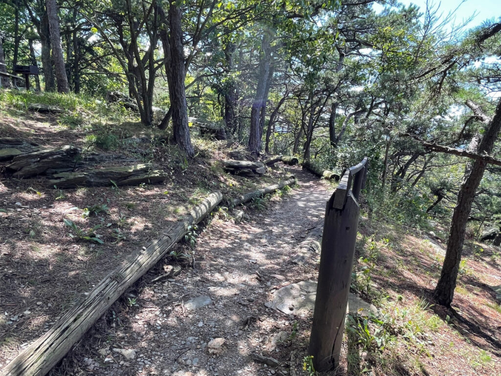 Gambrill State Park Guide: Overlooks, Trails, Picnic Spots & Family ...