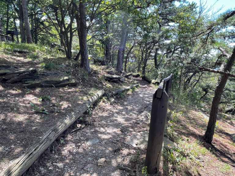 Gambrill State Park Guide: Overlooks, Trails, Picnic Spots & Family ...