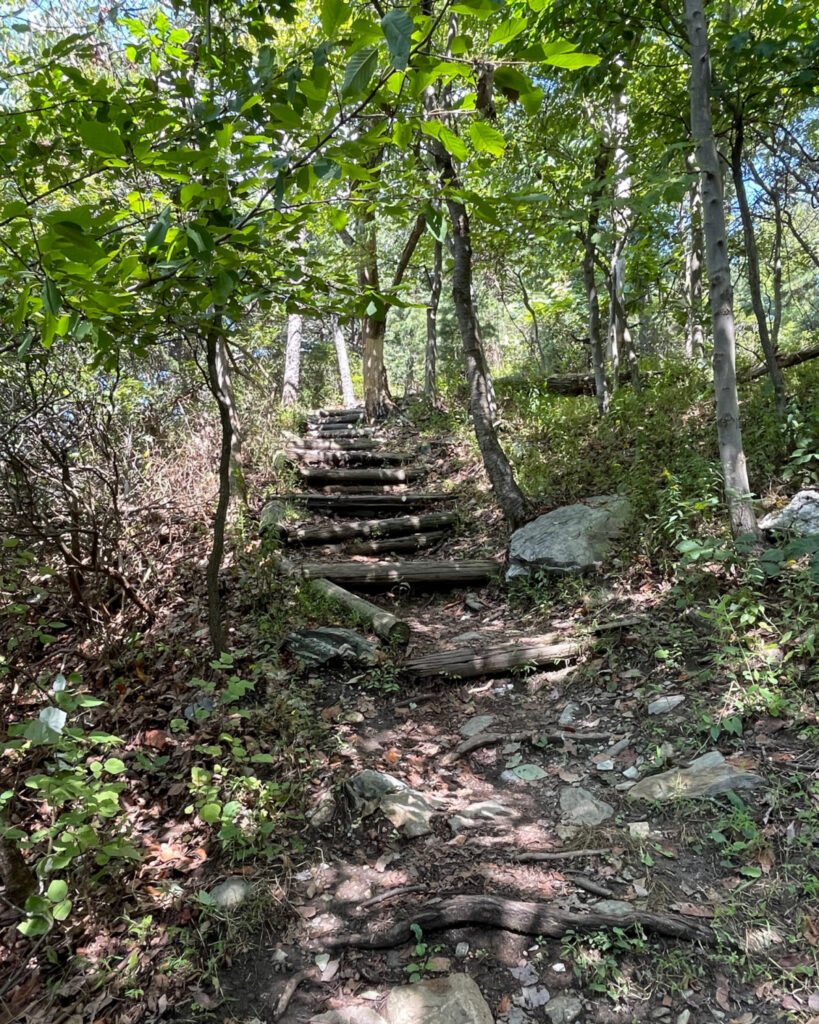 Gambrill State Park Guide: Overlooks, Trails, Picnic Spots & Family ...