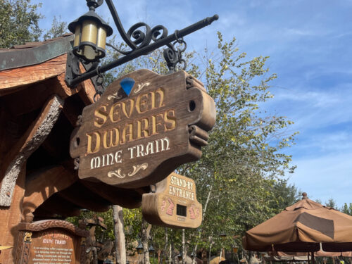 Rope Drop Disney World: How to Do It Right and Beat the Crowds ...