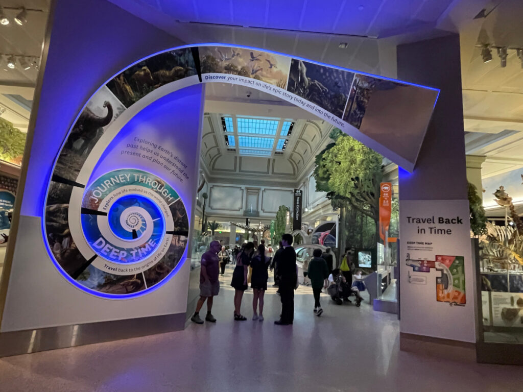 Smithsonian National Museum of Natural History Guide: What to See, Tips ...