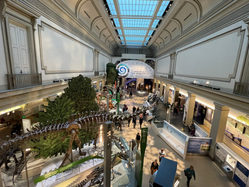 Smithsonian National Museum of Natural History Guide: What to See, Tips ...