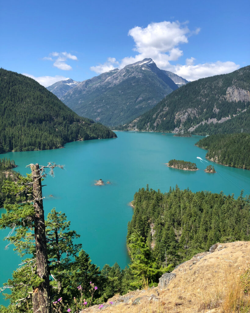 Driving the North Cascades Highway: Best Stops, Viewpoints, and Scenic ...
