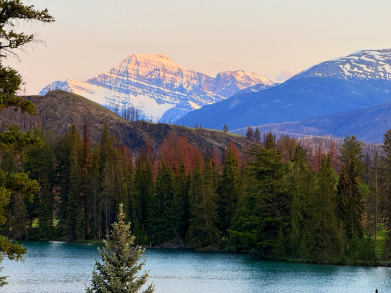 Jasper for First-Time Visitors: Everything You Need to Know Before You ...