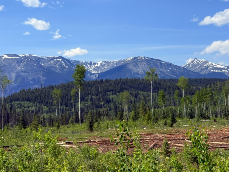 Jasper for First-Time Visitors: Everything You Need to Know Before You ...